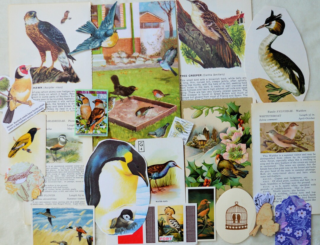 Birds Theme Paper Ephemera Craft, Collage, Scrapbooking Pack, Nature ...