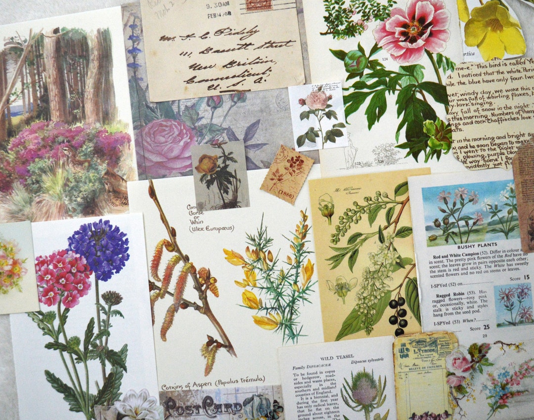 Vintage Botanical Theme Paper Ephemera Pack - Etsy