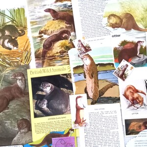 Otters Theme Paper Ephemera Craft, Collage, Scrapbooking Pack, Nature ...