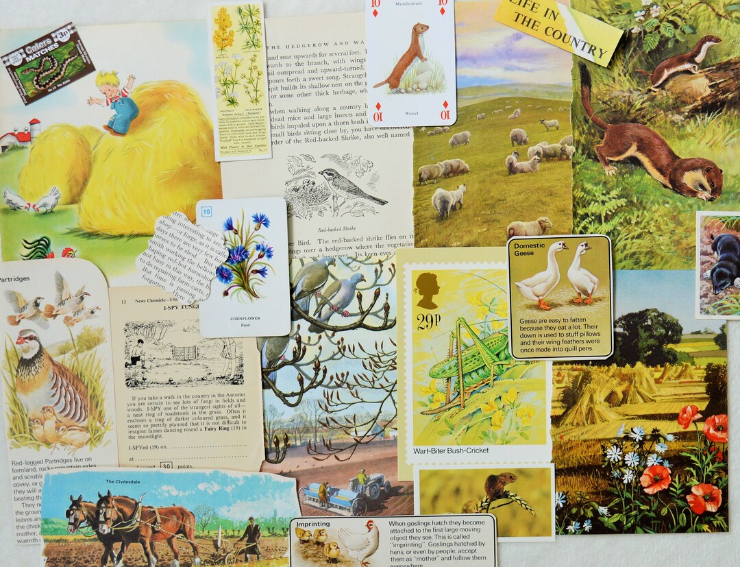 In the Country/on the Farm Theme Paper Ephemera Craft, Collage ...