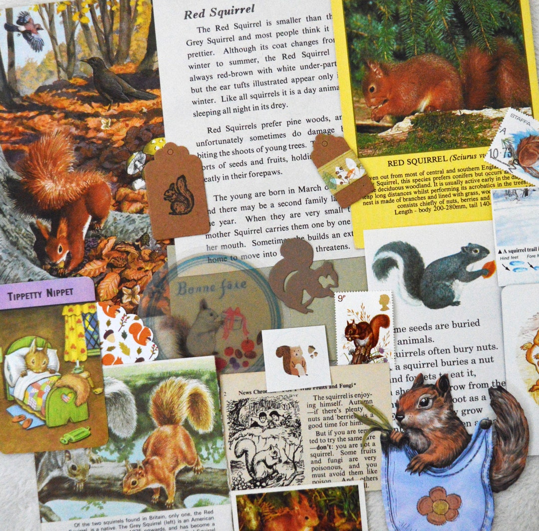 Squirrels Theme Paper Ephemera Craft, Collage, Scrapbooking Pack ...