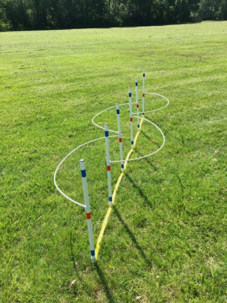 Dog Agility Equipment 6 Premium Weave poles with guide wires | Etsy