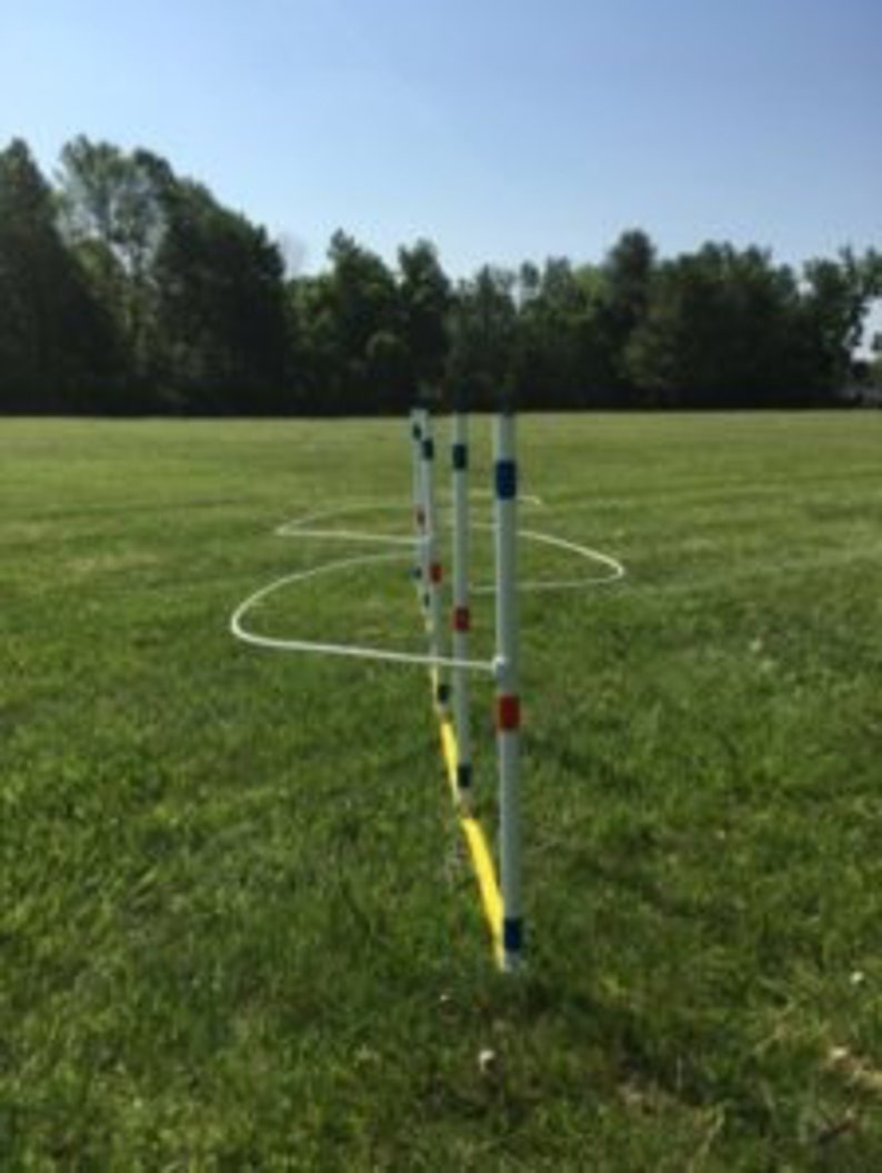 Dog Agility Equipment 6 Premium Weave poles with guide wires | Etsy