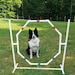 Dog Agility Equipment Weave Pole Guide Wires for 12 Weave Poles 10 ...