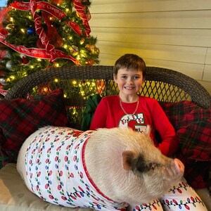 Pet Pig Clothing/ Mini Pig Clothes/ Pig Sweater/ Pot Belly Pig Clothes ...