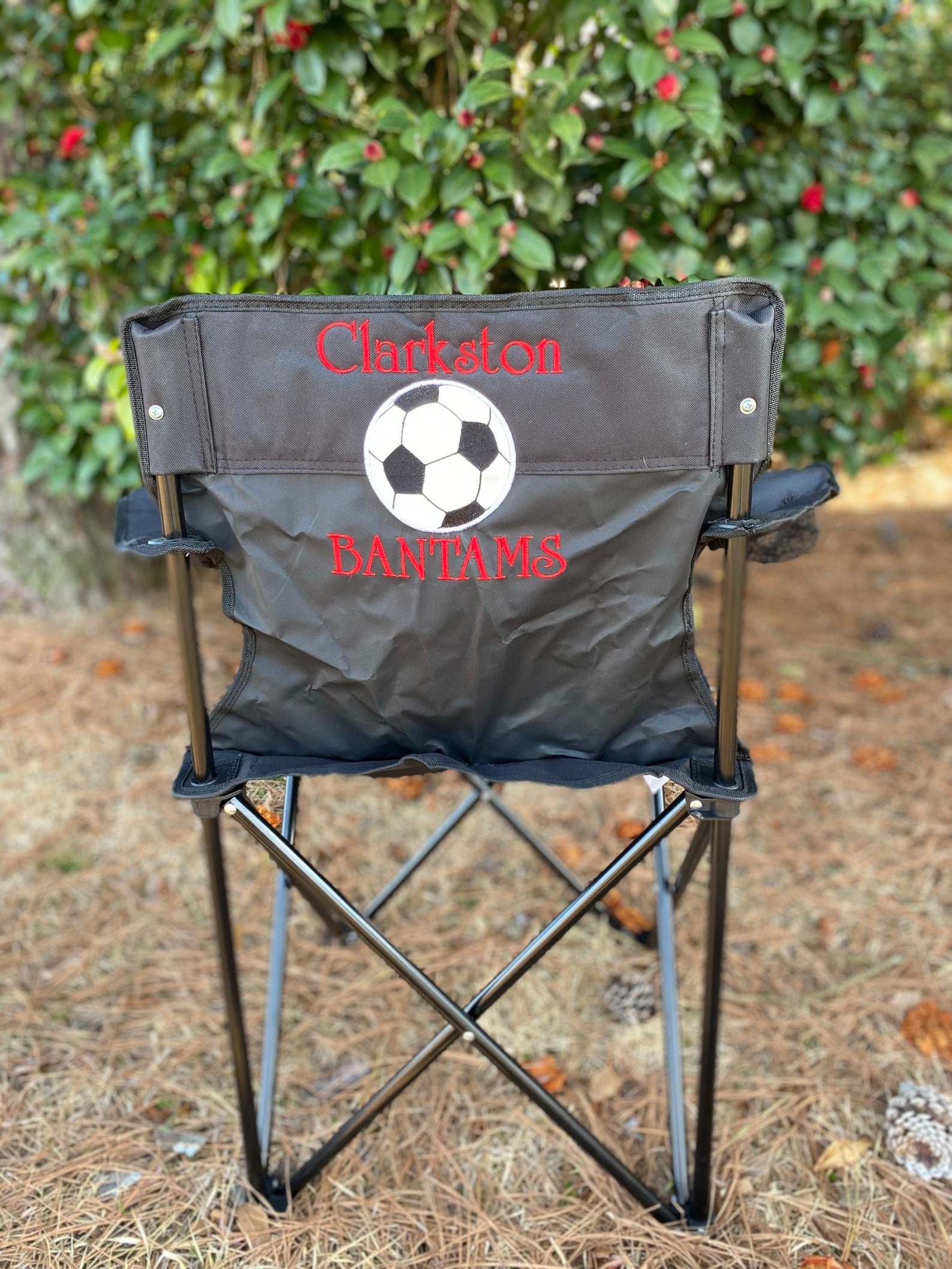Cheerleading Camp Chair, Cheer Mom Chair, Sports Chair, Lawn Chair ...