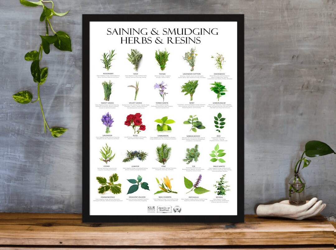 HD Saining & Smudging Herbs and Resins Poster Digital Download ...
