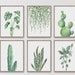 Botanical Print Set, Plant Posters, Living Room Wall Art, Bedroom Wall ...
