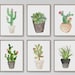 Watercolor Cactus Prints, Succulent Wall Art, Plant Poster, Botanical ...