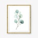 Eucalyptus Prints Botanical Print Set Plant Posters Leaf | Etsy