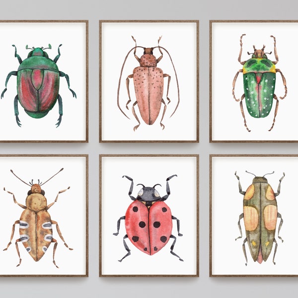 Watercolor Insect - Etsy