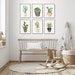 Watercolor Cactus Prints Succulent Wall Art Plant Poster - Etsy
