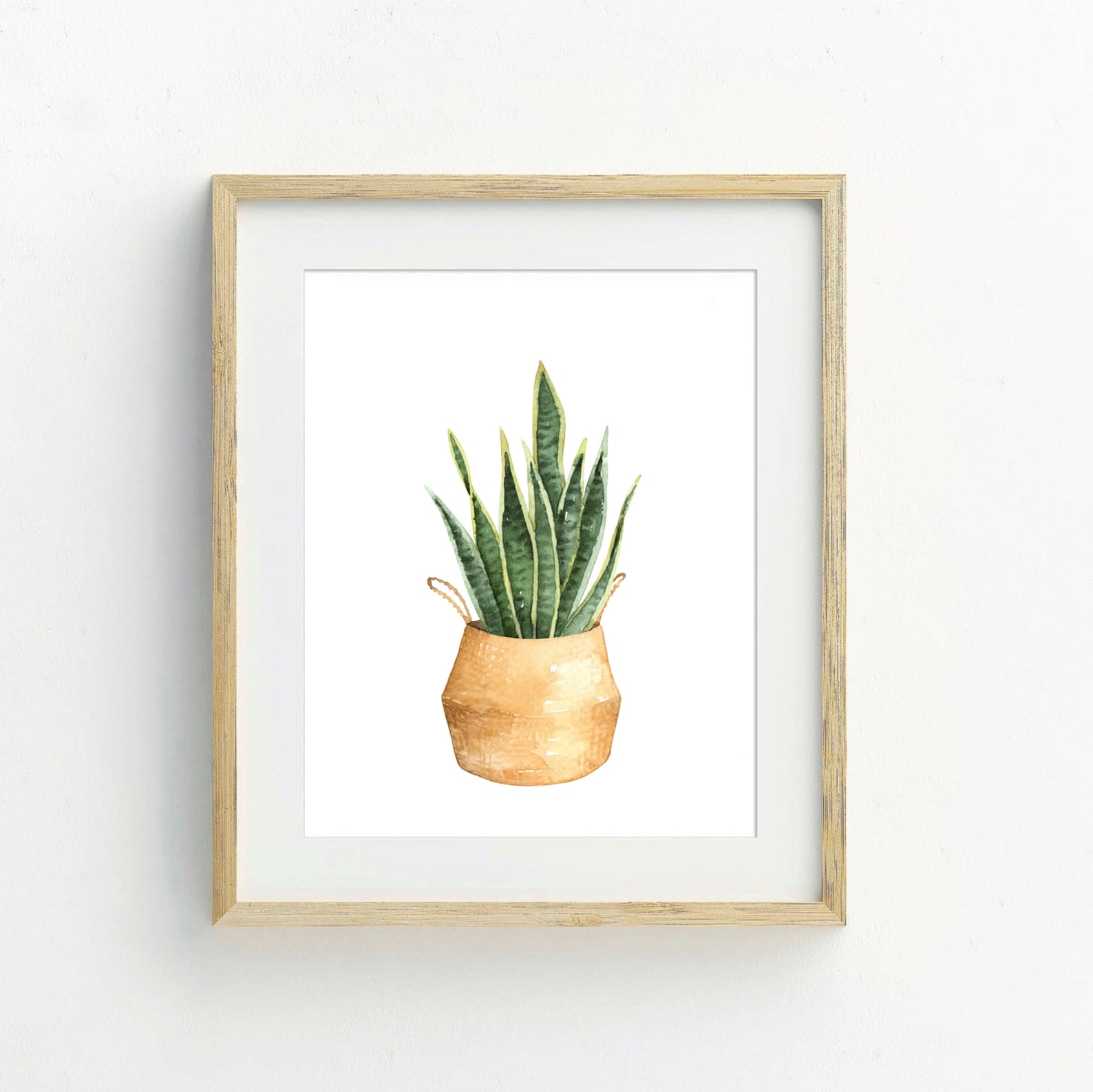 Houseplant Art Botanical Print Set Plant Posters Set of 6 | Etsy