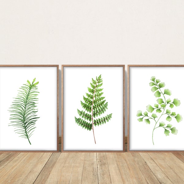 Watercolor Fern - Etsy
