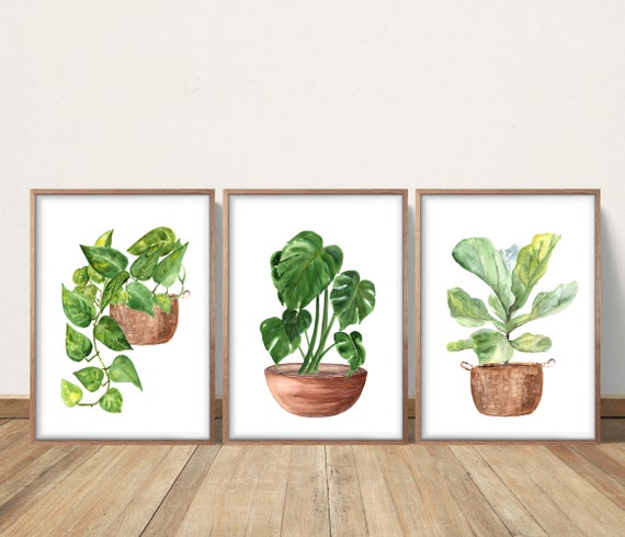 Botanical Print Set Plant Posters Set of 3 Leaf Prints | Etsy