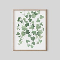 English Ivy - Etsy