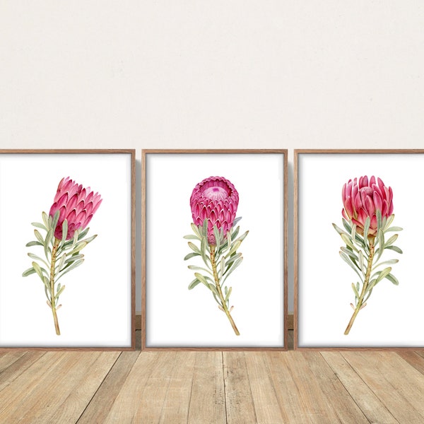 Protea Wall Art - Etsy