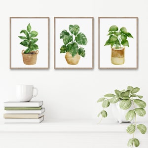 Botanical Print Set, Living Room Wall Art, Home Decor Gift, Houseplant ...