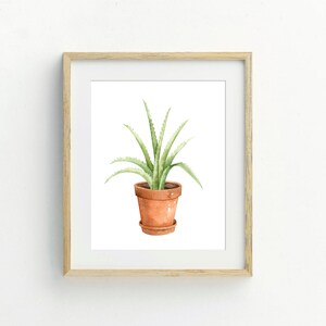 Houseplant Art Botanical Print Set Plant Posters Set of 6 | Etsy