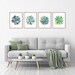 Watercolor Cactus Prints, Set of 4 Succulent Wall Art, Plant Posters ...