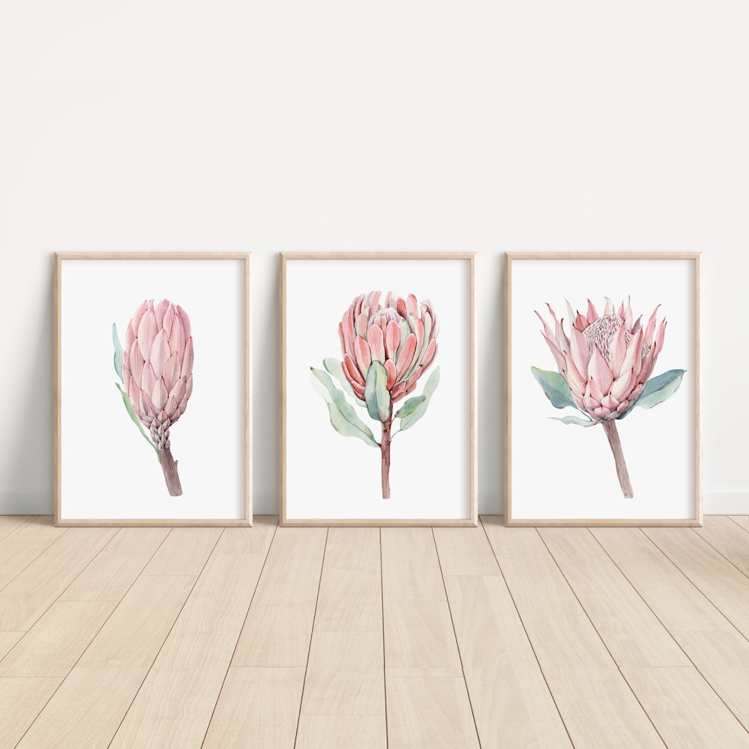 Watercolor Protea Printable, South Africa Flowers, King Protea Art ...