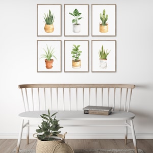 Houseplant Art, Botanical Print Set, Plant Posters, Set of 6 Leaf ...