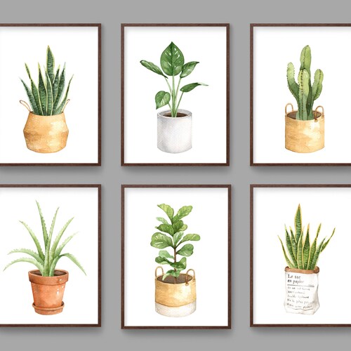 Houseplant Art Botanical Print Set Plant Posters Set of 6 | Etsy