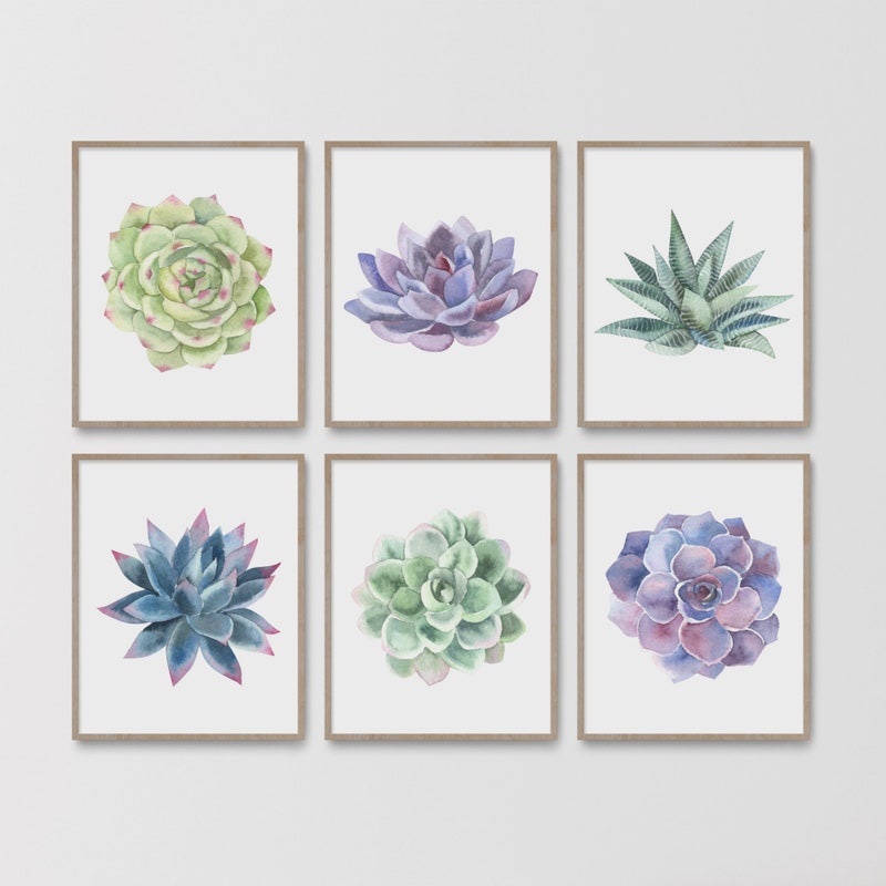 Succulent Wall Art - Etsy