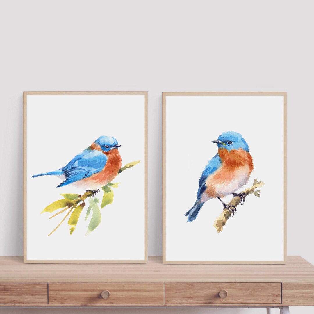 Watercolor Bluebird Prints, Bird Paintings, Bird Lover Gift, Living ...