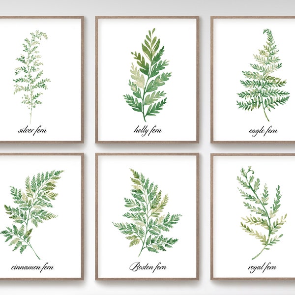 Watercolor Fern - Etsy