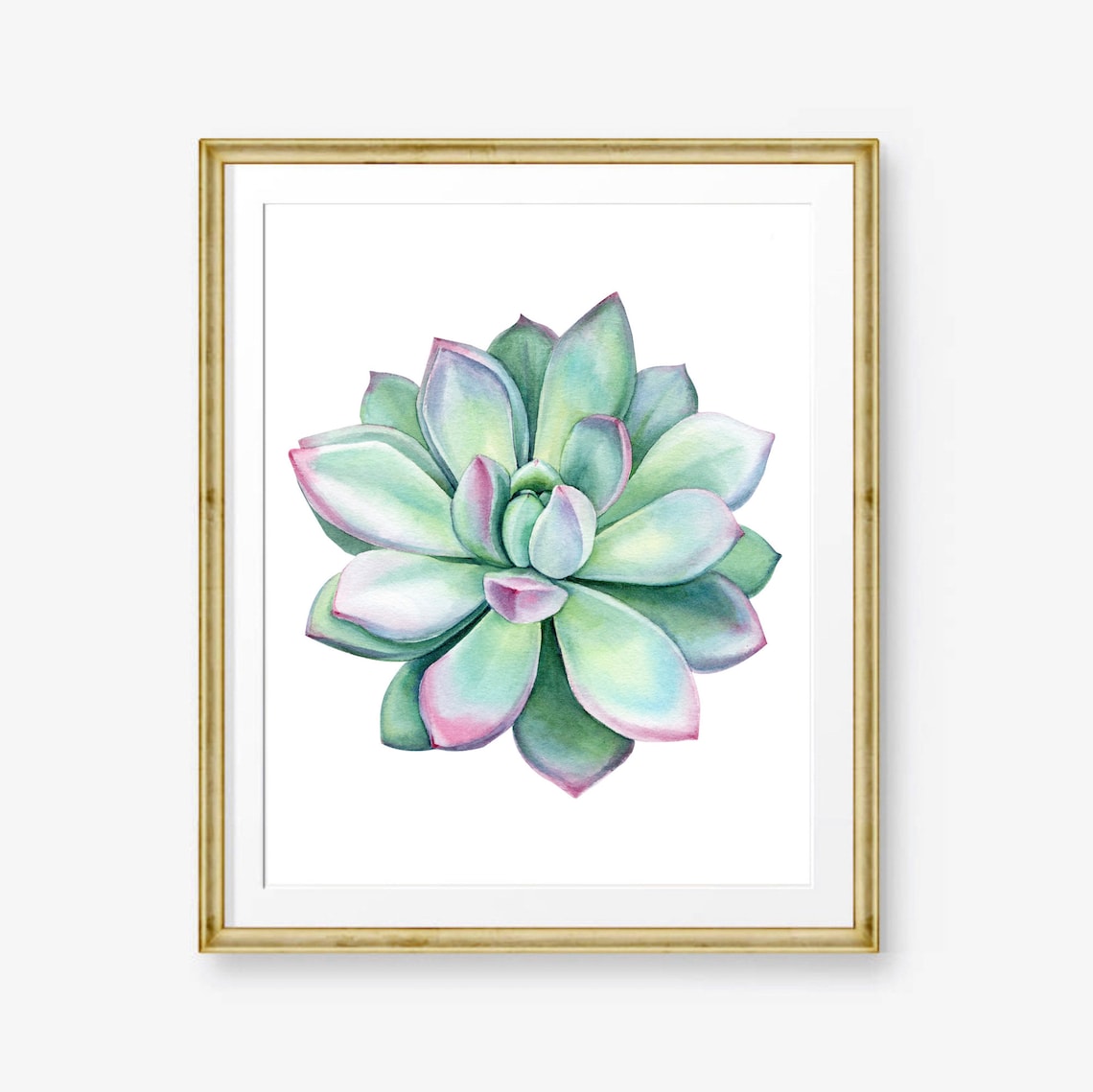 Watercolor Cactus Prints Set of 4 Succulent Wall Art Plant | Etsy