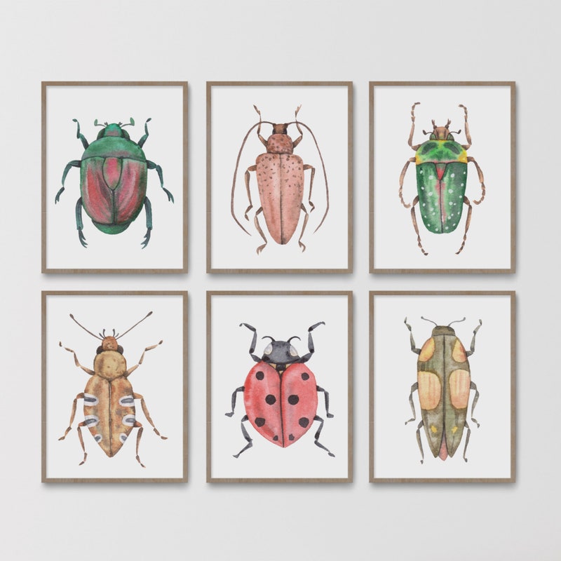 Bug Art Print - Etsy