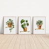 Watercolor Cactus Prints, Set of 4 Succulent Wall Art, Plant Posters ...