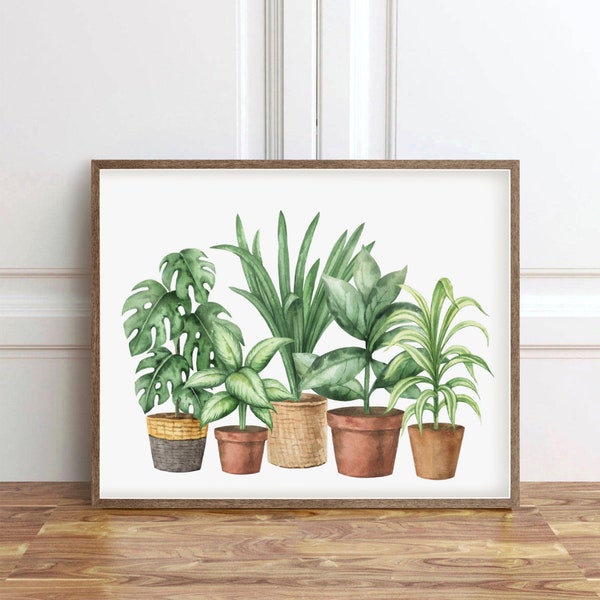 Plant Poster - Etsy