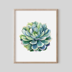 Watercolor Cactus Prints, Set of 4 Succulent Wall Art, Plant Posters ...