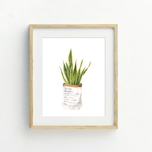 Houseplant Art, Botanical Print Set, Plant Posters, Set of 6 Leaf ...