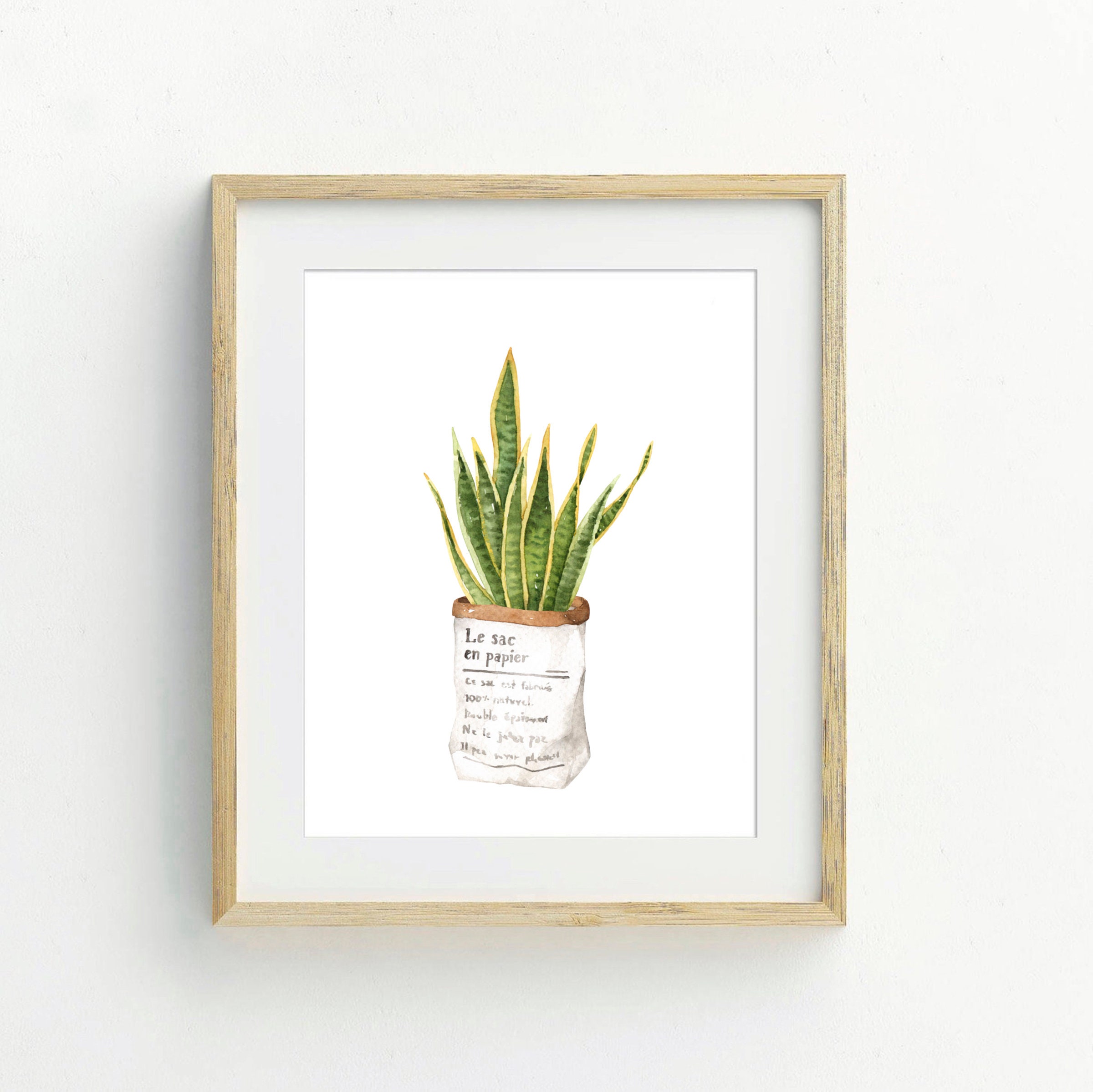 Houseplant Art Botanical Print Set Plant Posters Set of 6 | Etsy