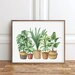 Botanical Print Set, Houseplant Art, Living Room Wall Art, Bedroom Wall ...