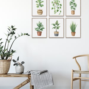Botanical Print Set, Houseplant Art, Living Room Wall Art, Bedroom Wall ...