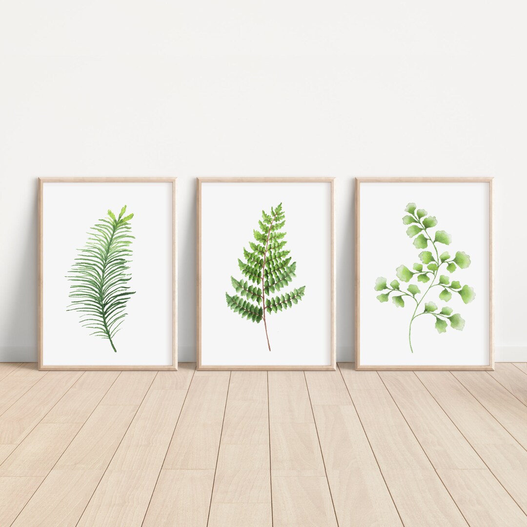 Watercolor Fern Prints, Botanical Print Set, Living Room Wall Art ...