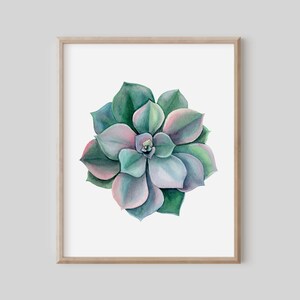 Watercolor Cactus Prints, Set of 4 Succulent Wall Art, Plant Posters ...
