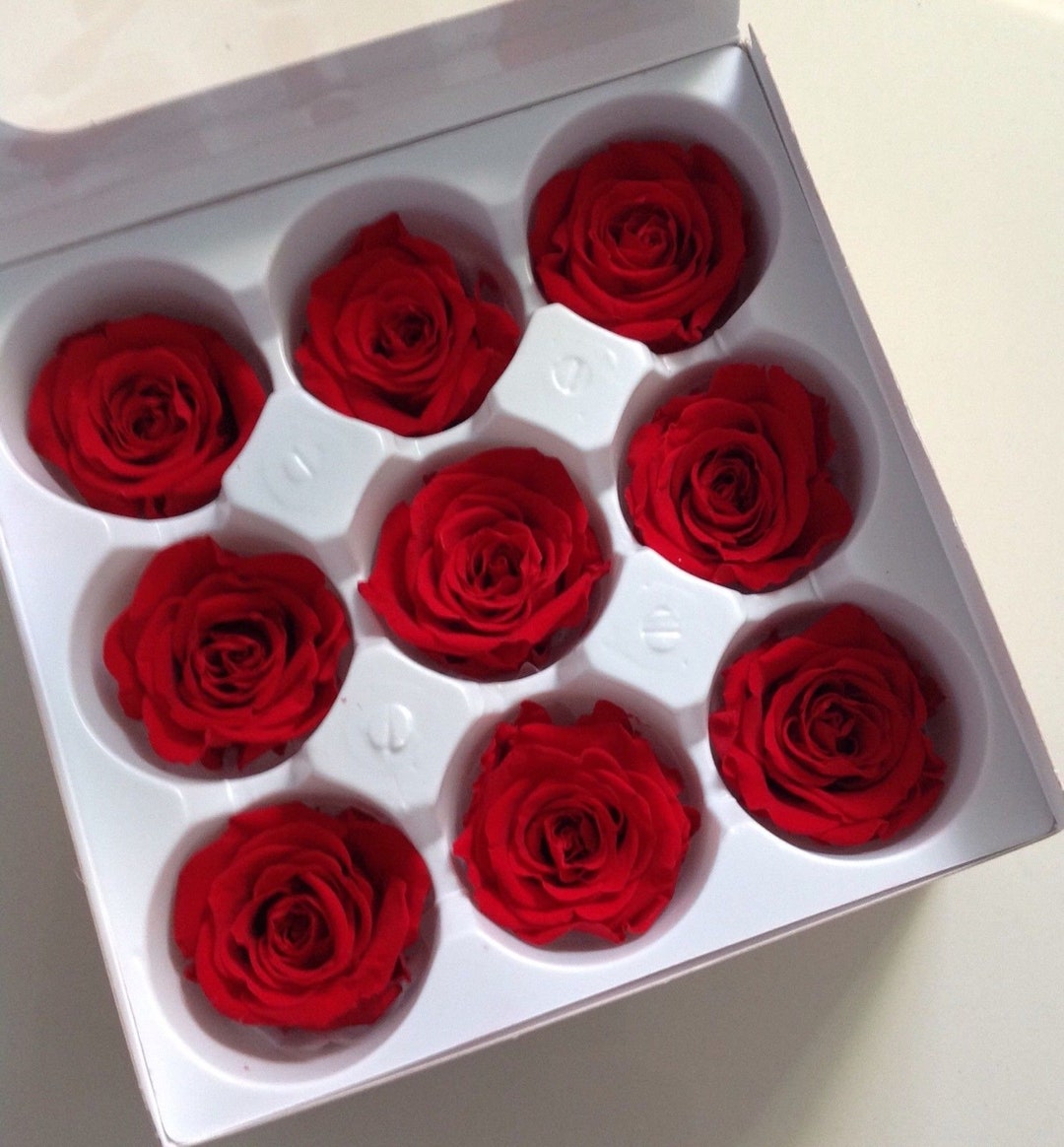 9 Preserved Real Roses in the Box La Fleur Eternelle VERMEILLE Last 3 ...