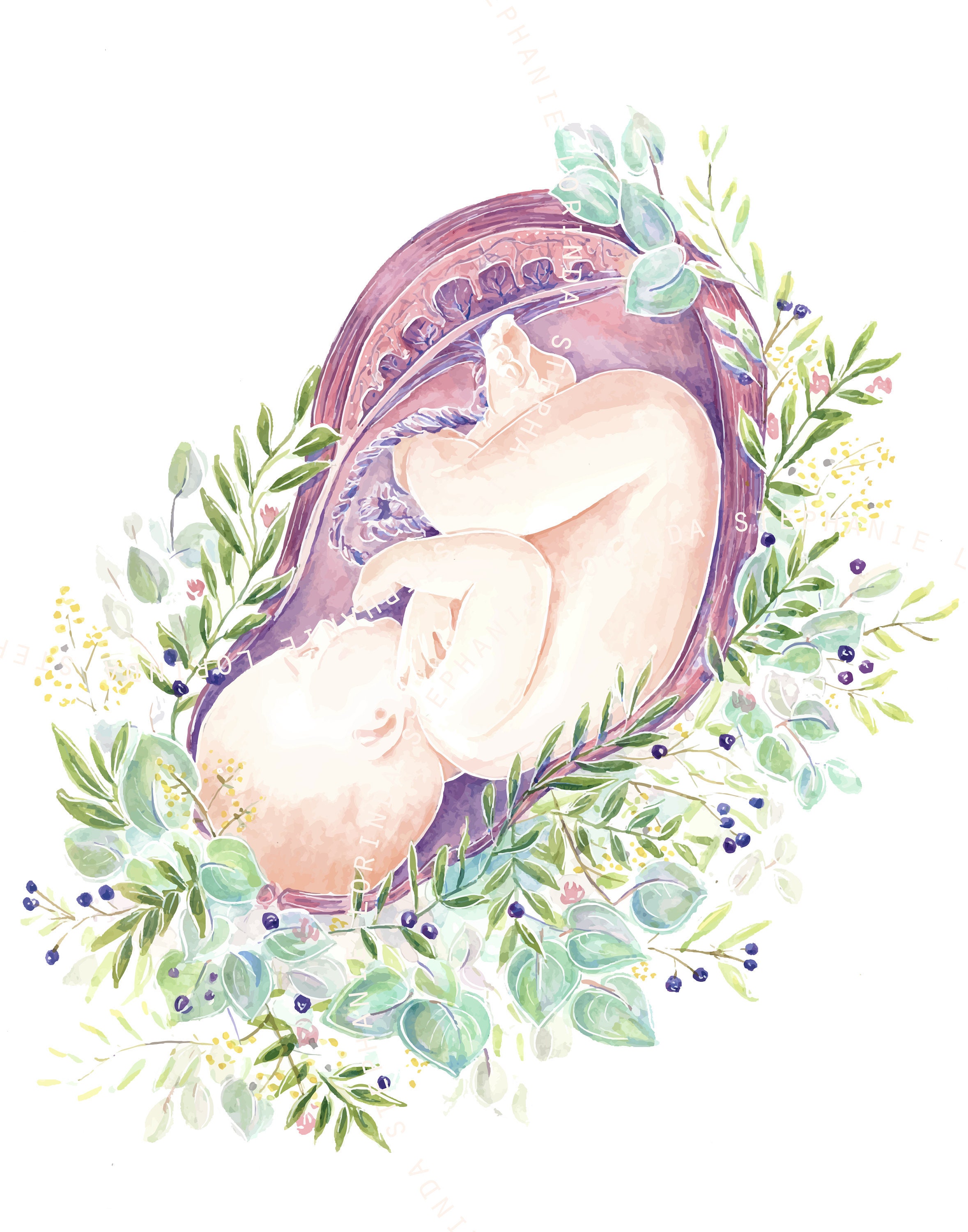 8x10" Baby in Womb Watercolour Print (DIGITAL DOWNLOAD) - Etsy