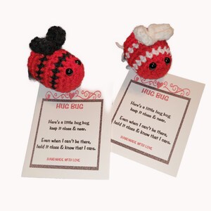 Hug Bug, Crocheted Set of Two (2) - Etsy