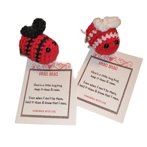 Hug Bug, Crocheted Set of Two (2) - Etsy