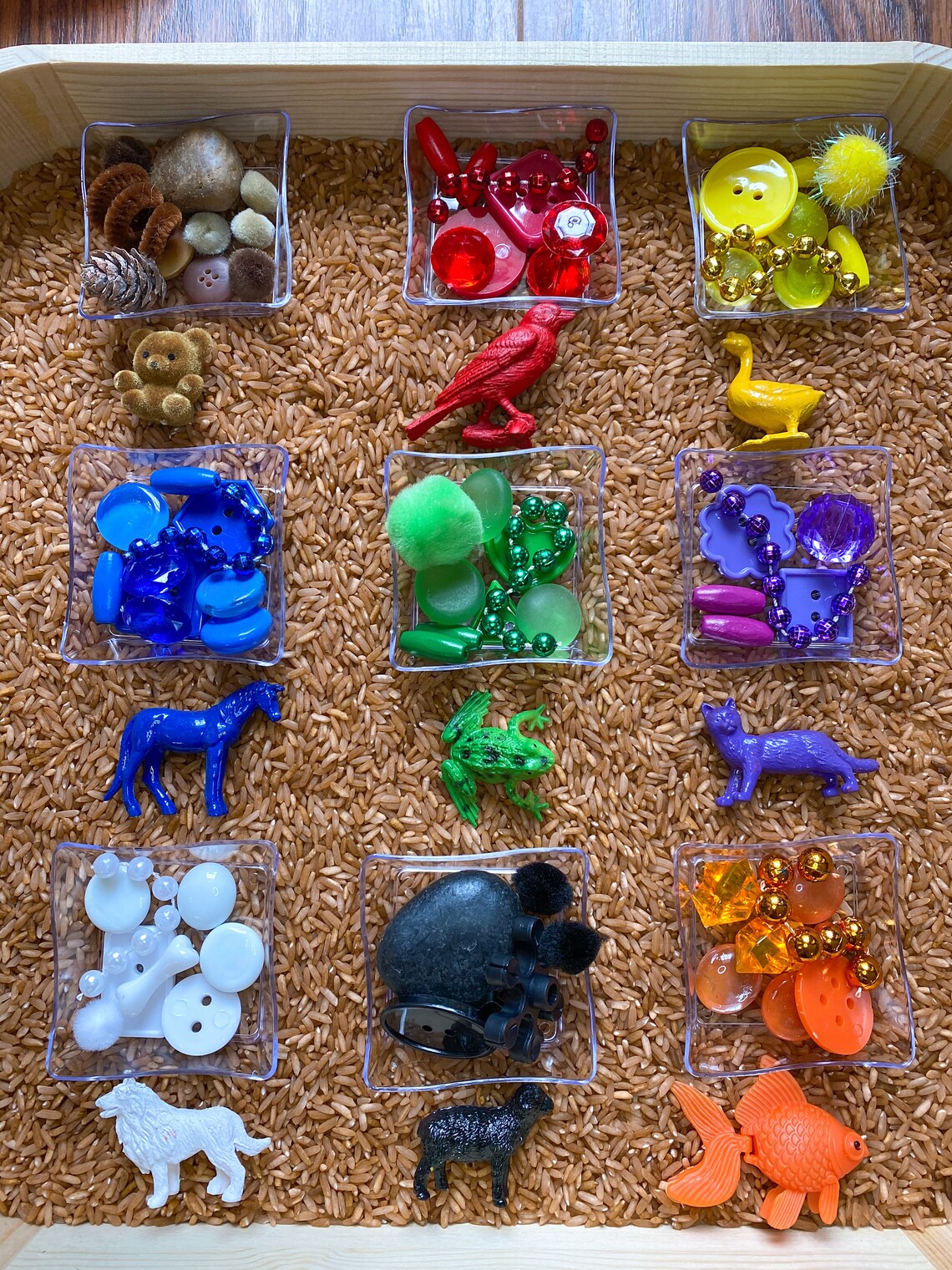 Brown Bear Brown Bear Sensory Bin, Eric Carle Activity, Color Sorting ...