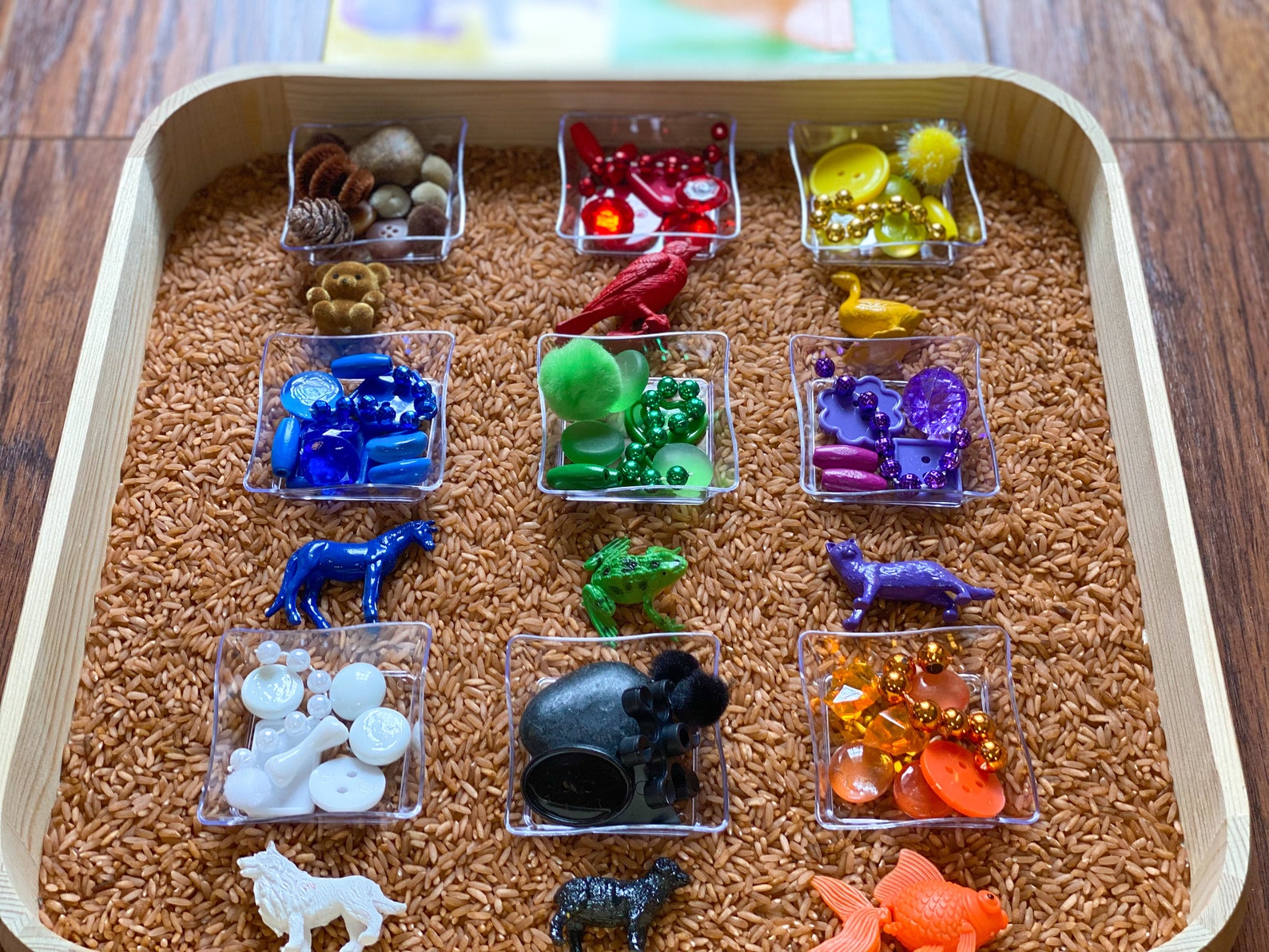 Brown Bear Brown Bear Sensory Bin, Eric Carle Activity, Color Sorting ...