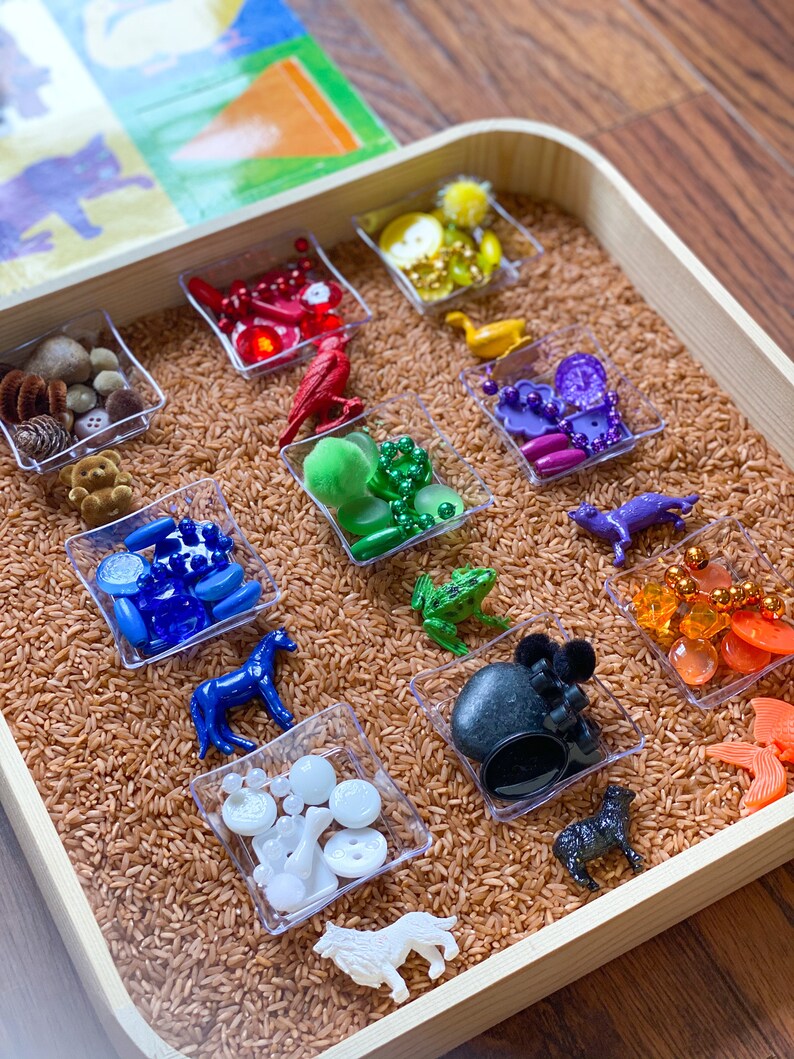 Brown Bear Brown Bear Sensory Bin, Eric Carle Activity, Color Sorting ...
