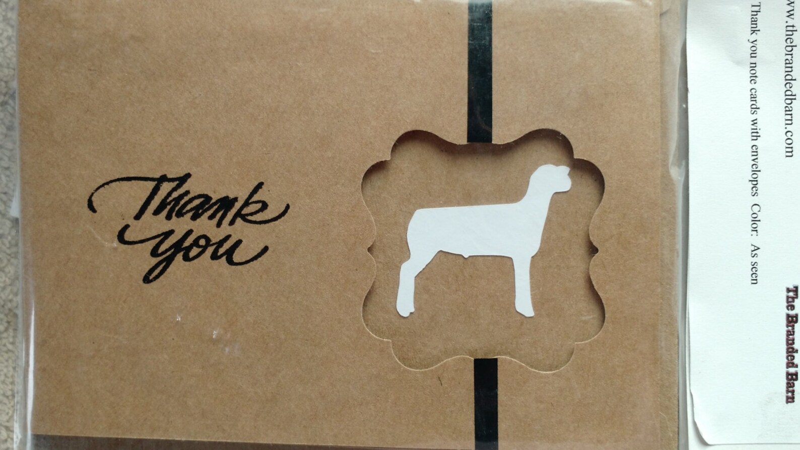 Show Lamb Thank You Cards 4 Pack - Etsy