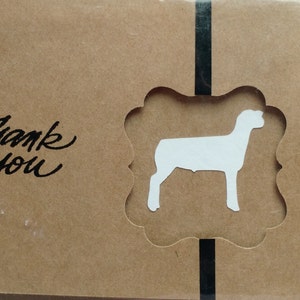 Show Lamb Thank You Cards 4 Pack - Etsy